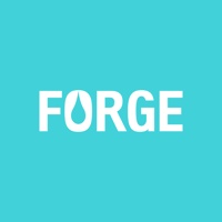 Connect with Forge Creative - certified expert by LiveChat