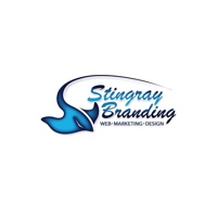 Connect with Stingray Branding - certified expert by LiveChat